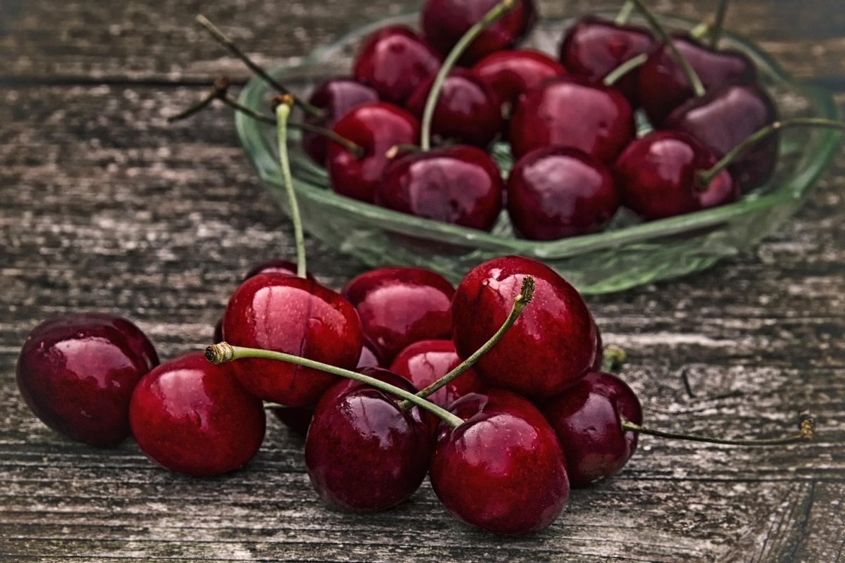 Attracting Birds to Cherry Trees with a Balanced Diet - Plant Grower World