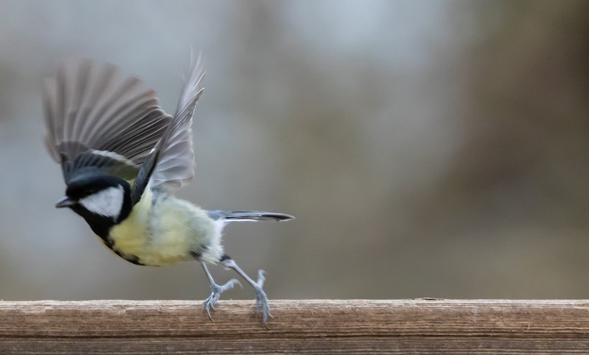 Maximize Your Miniature Oasis: Garden Design Tips for Small Spaces ...