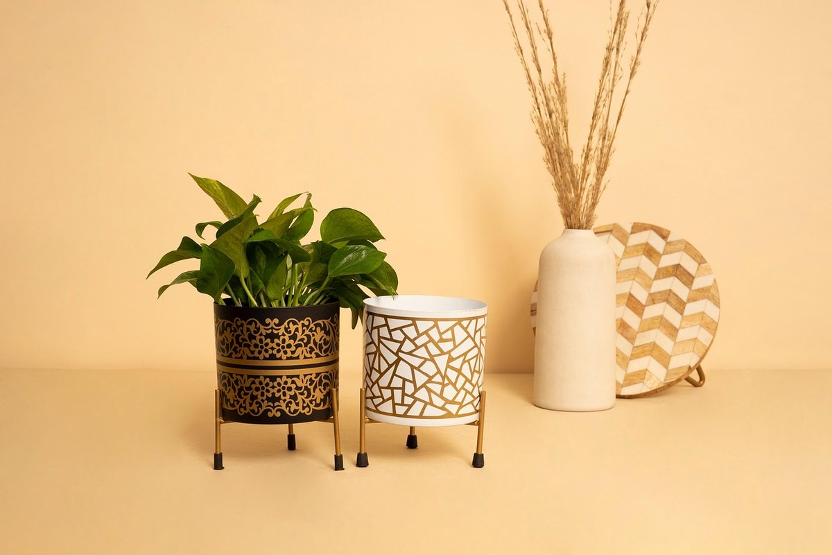 Find Your Perfect Planter Pot: A Guide to Choosing the Right One ...