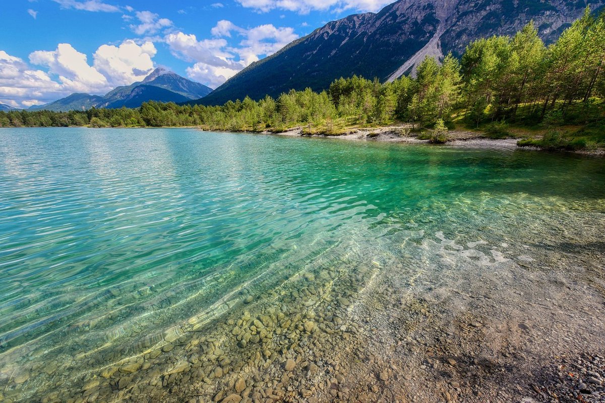 Mastering Landscape Design Basics for Stunning Outdoor Spaces - Plant ...