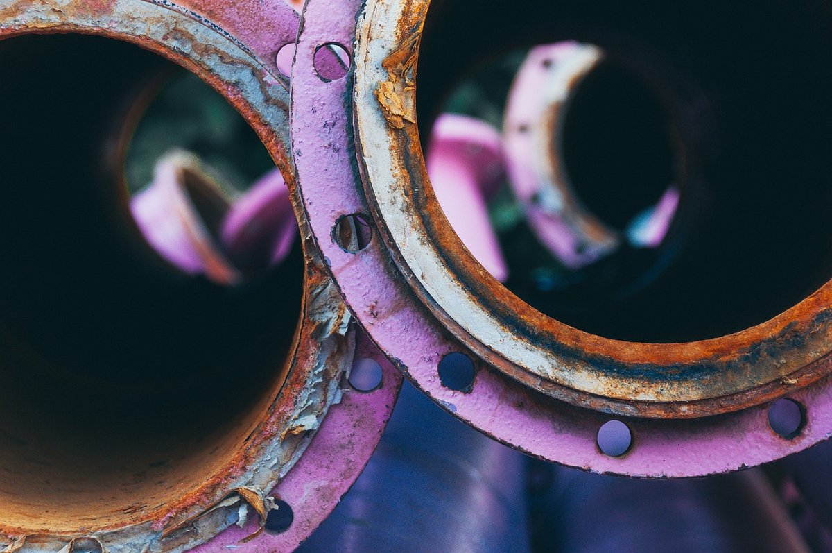 Prevent and Treat Rust on Roses Effectively - Plant Grower World