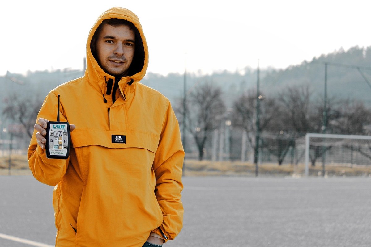 Control Yellow Jackets in Your Garden Naturally - Plant Grower World