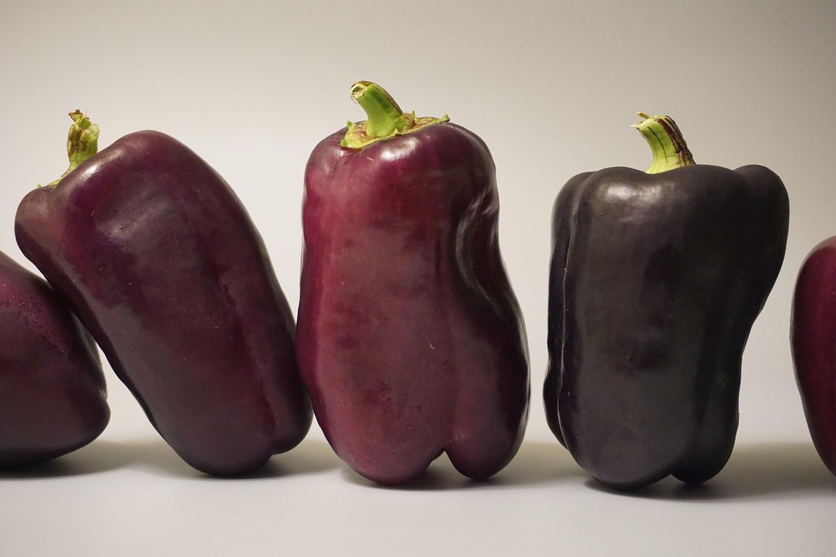 Discovering Black Peppers Origins and Global Trade Routes - Plant ...