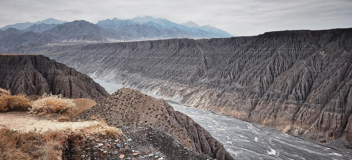 What is a Gully? Formation, Types & Environmental Impact - Plant Grower ...