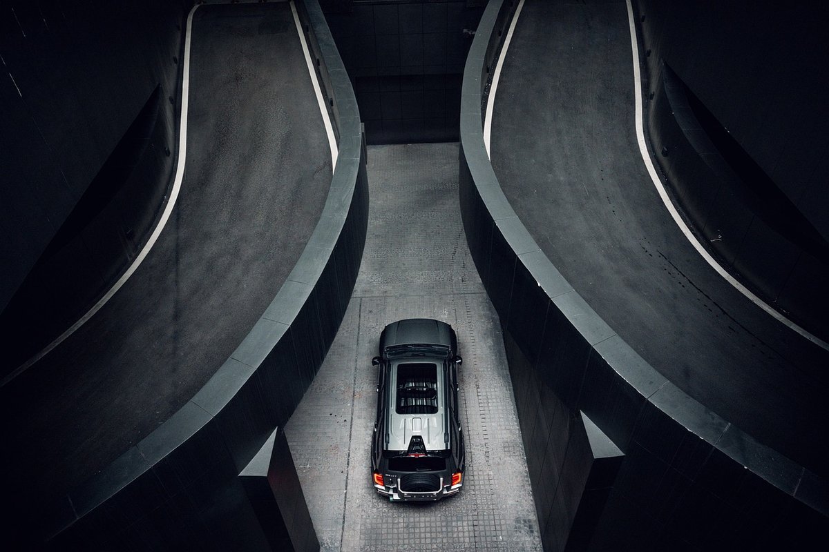 Plant Growth Secrets from Your Fish Tank - Plant Grower World