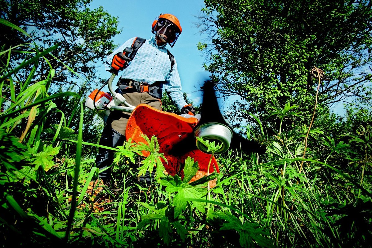 Master Kikuyu Grass Maintenance with Our Expert Guide - Plant Grower World