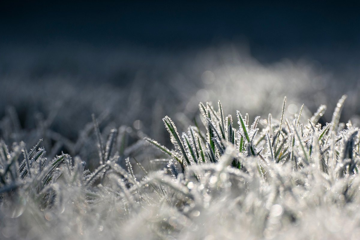 Frost Dates by Zone: A Gardeners Guide to Success - Plant Grower World