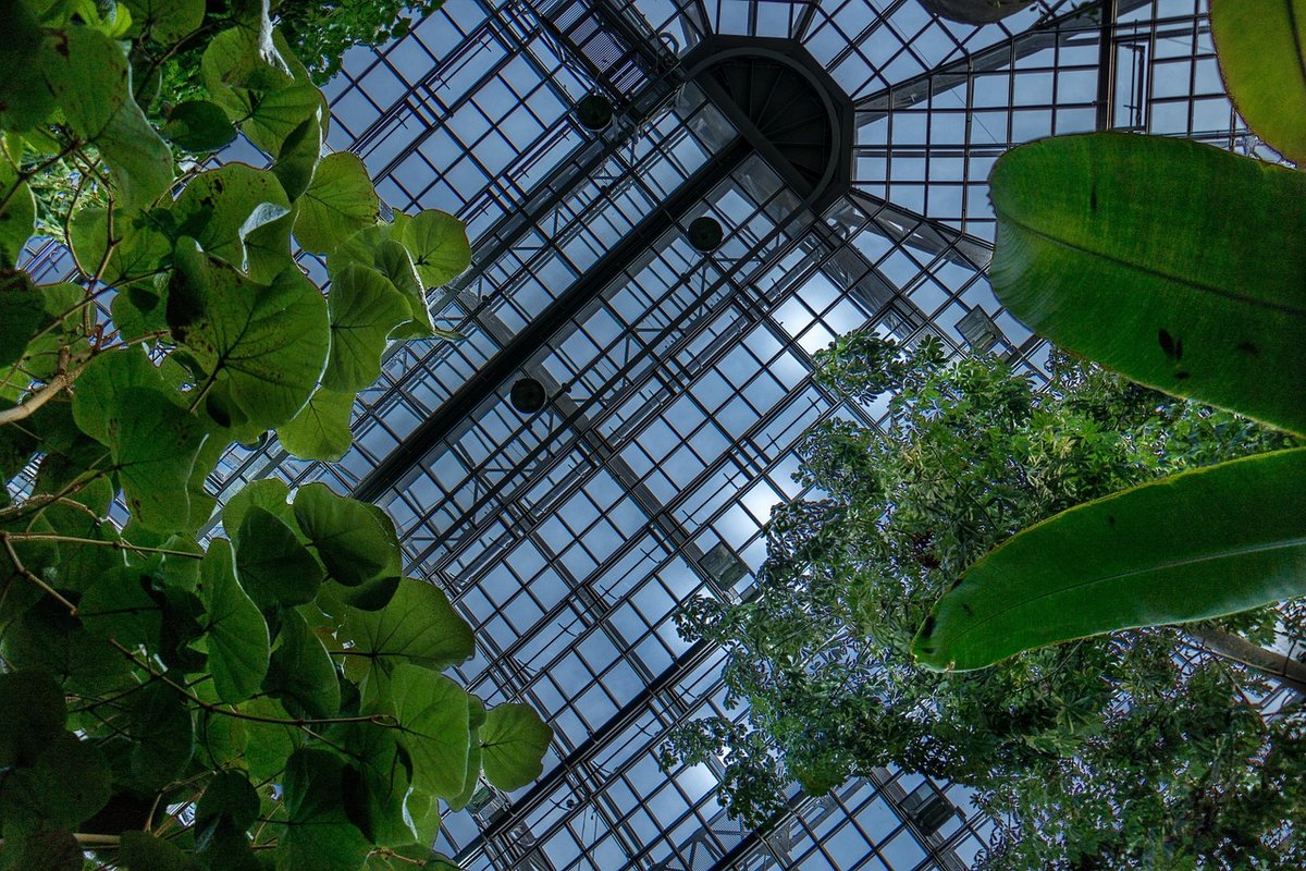 Maximize Greenhouse Ventilation with Efficient Ceiling Vents - Plant ...