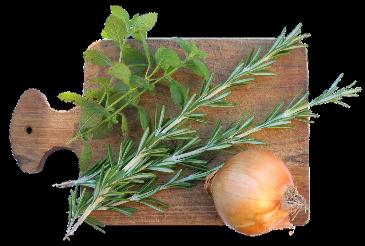 Grow Rosemary from Cuttings: A Step-by-Step Guide - Plant Grower World