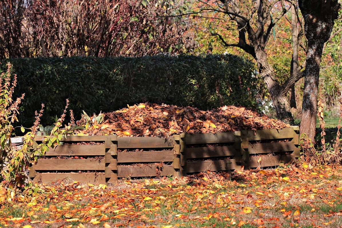 Master Composting Autumn Leaves for a Greener Garden - Plant Grower World