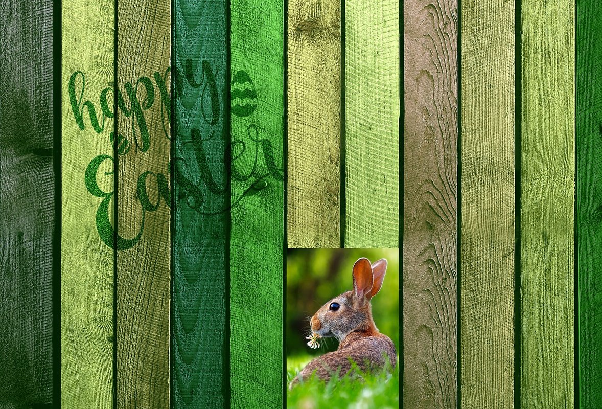 Protect Your Garden with Effective Rabbit Fencing Solutions - Plant ...