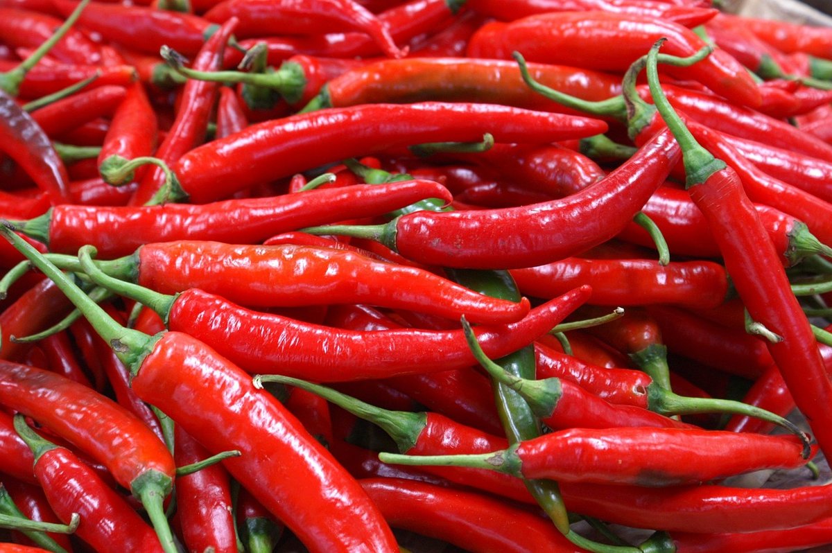 Discover Red Chile Pepper Varieties: Flavor & Uses Revealed - Plant ...