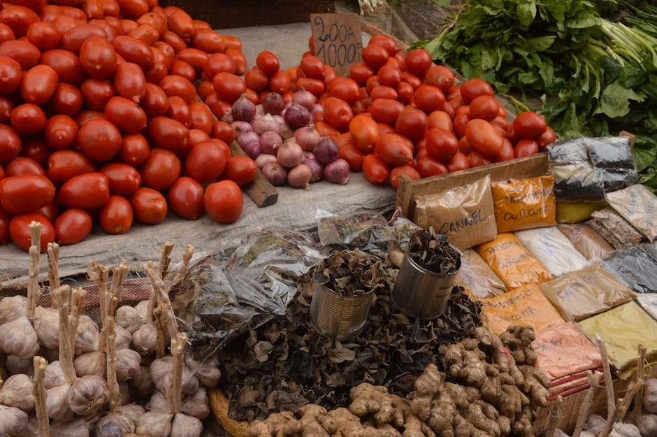 Prevent Tomato Root Rot with Expert Tips and Strategies - Plant Grower ...