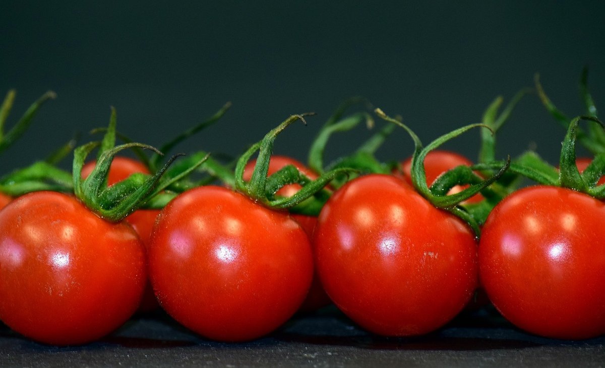 Are Tomatoes Really Perennial? Discovering the Truth - Plant Grower World