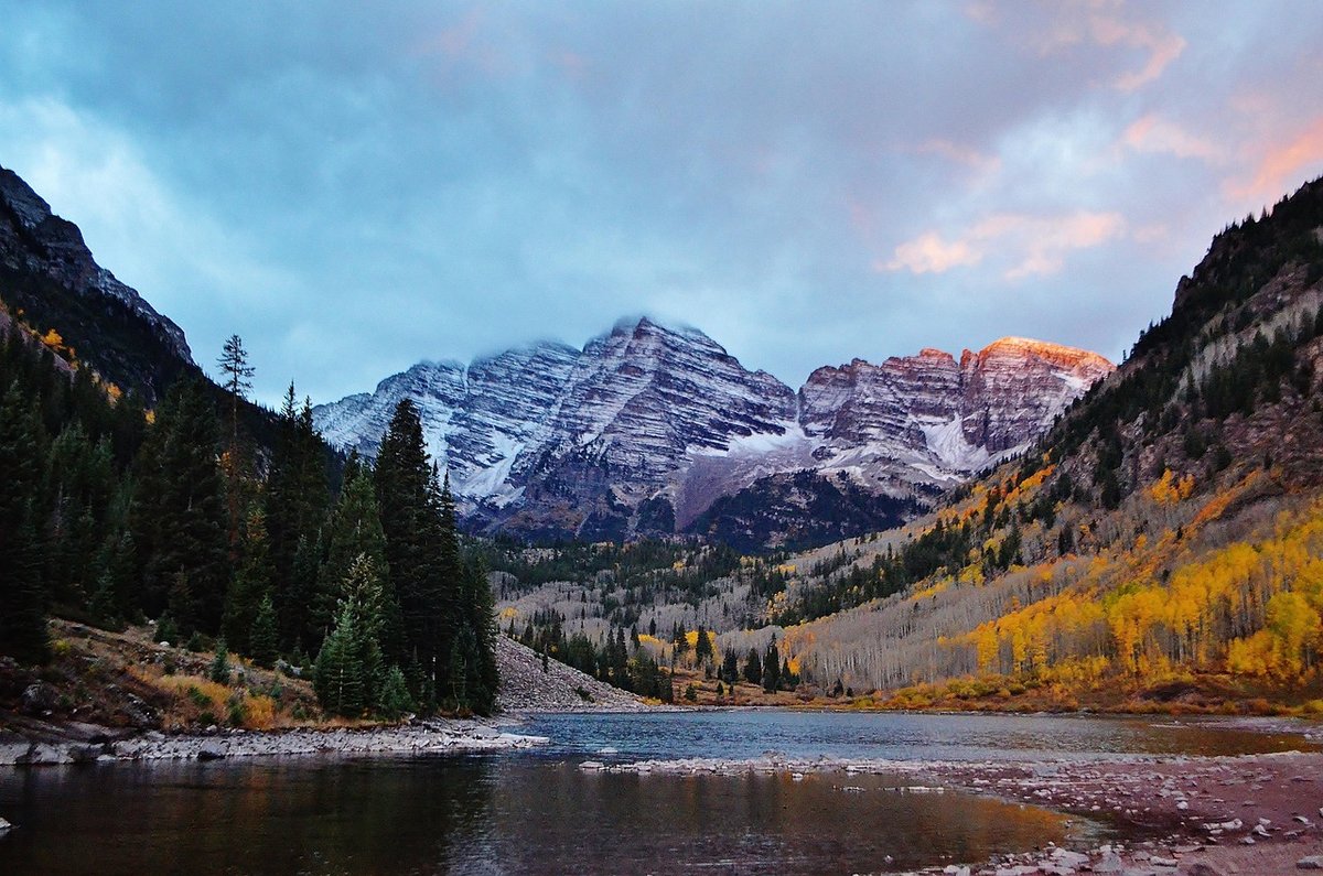 Aspen Trees: Facts, Uses, and Conservation Efforts - Plant Grower World