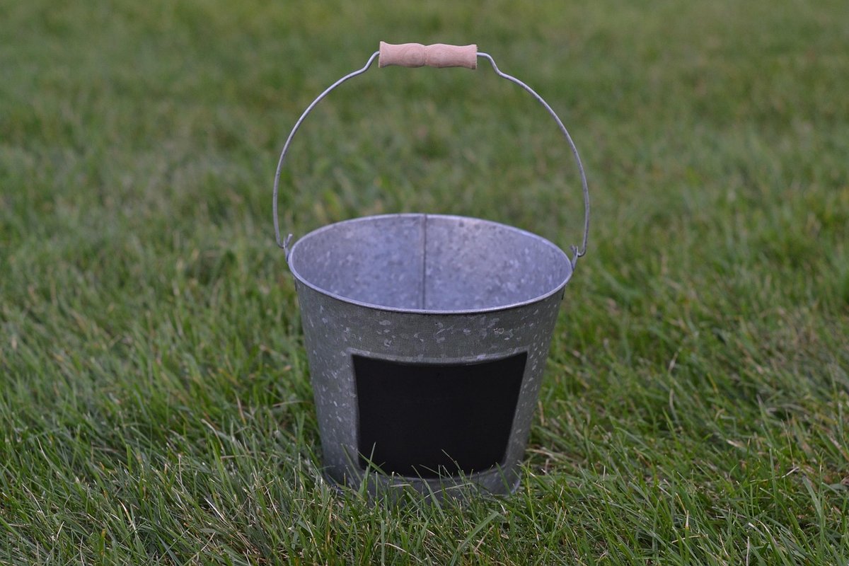 Is Galvanized Safe for Garden Beds? Risks and Alternatives - Plant ...
