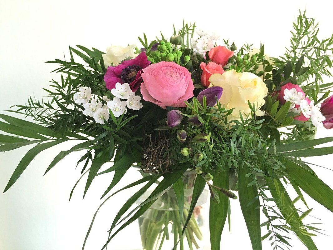 Grow Jasmine from Cuttings with Ease: A Step-by-Step Guide - Plant ...